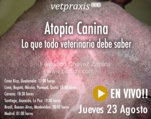 En VIVO: Atopia Canina: Lo que todo veterinario debe saber – VetPraxis