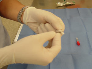 ¿Cómo insertar un tubo de esofagostomía? – VetPraxis