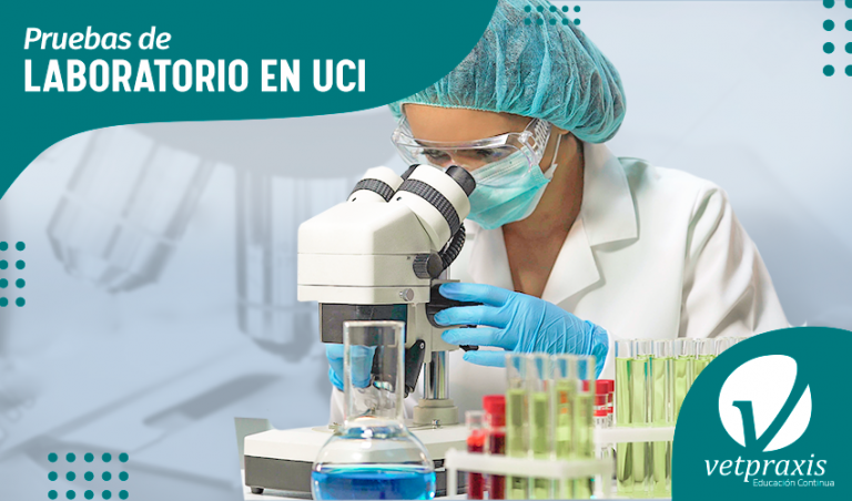 Pruebas de Laboratorio en UCI – VetPraxis